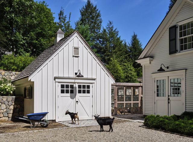 Home Design with Pets in Mind - Patrick Ahearn Architect