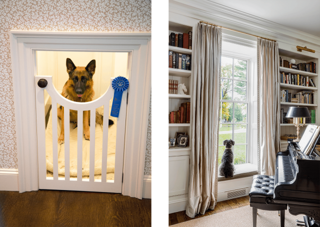 Home Design with Pets in Mind - Patrick Ahearn Architect
